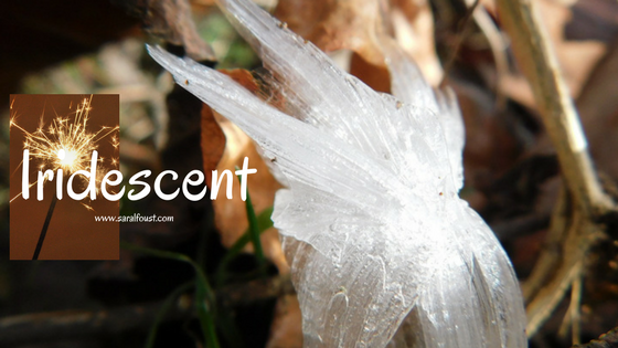 Iridescent – sara l foust